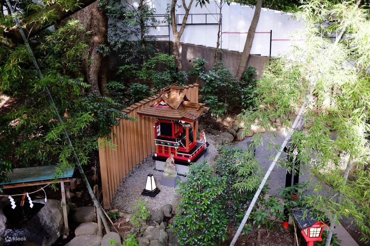 [Summer Limited] Atami Kinomiya Shrine, Izu Omuroyama, Cactus Zoo, and ...